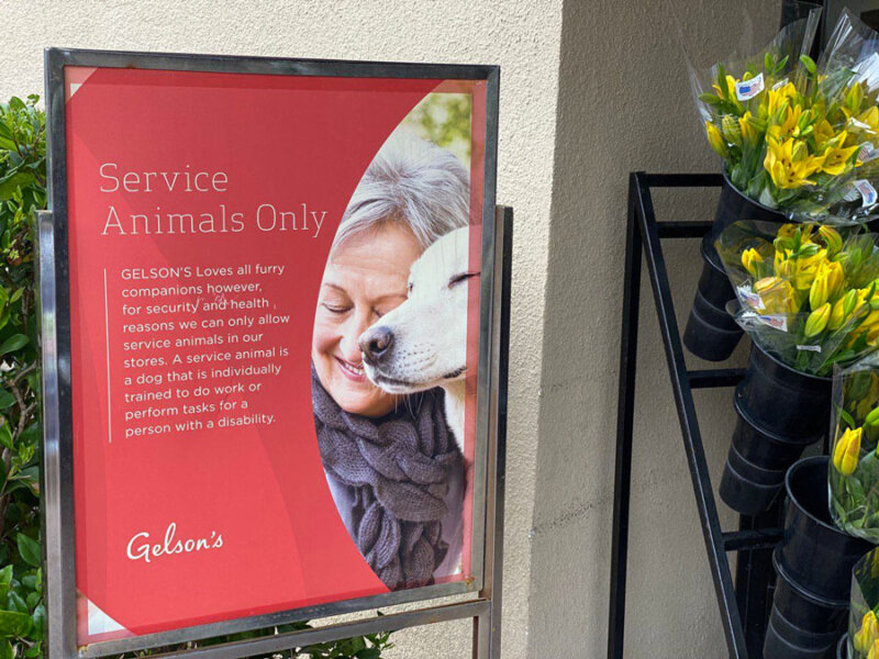 How to Get a Valid Certificate for a Service Dog - SuperMall