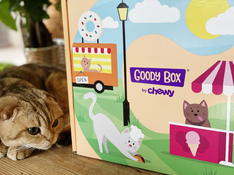 Chewy Goody Box Foodie: A Purr-fect Review - SuperMall