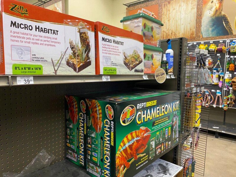 The Essential Guide to Caring for Chameleon Pets - SuperMall