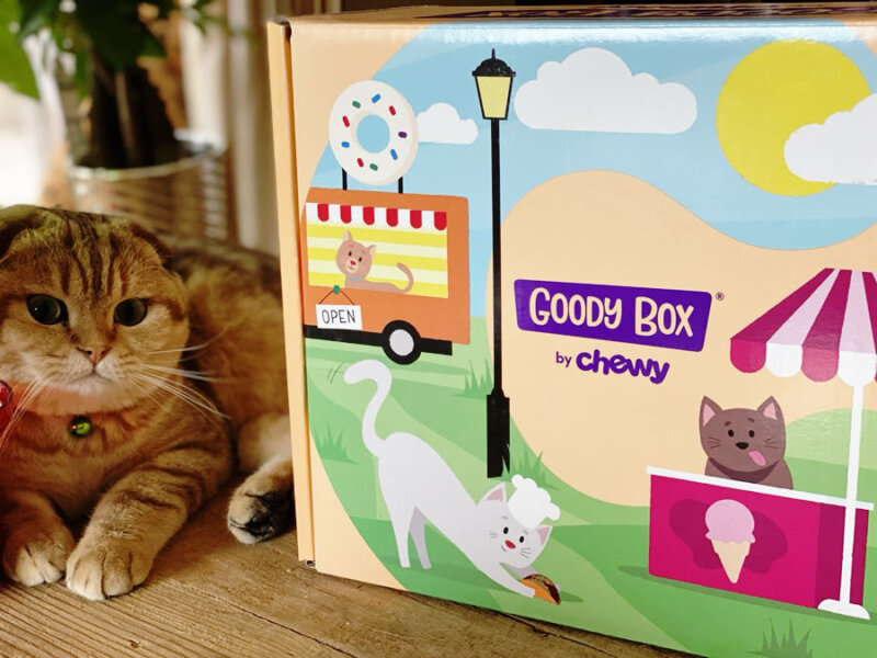 Chewy Goody Box Foodie: A Purr-fect Review - SuperMall