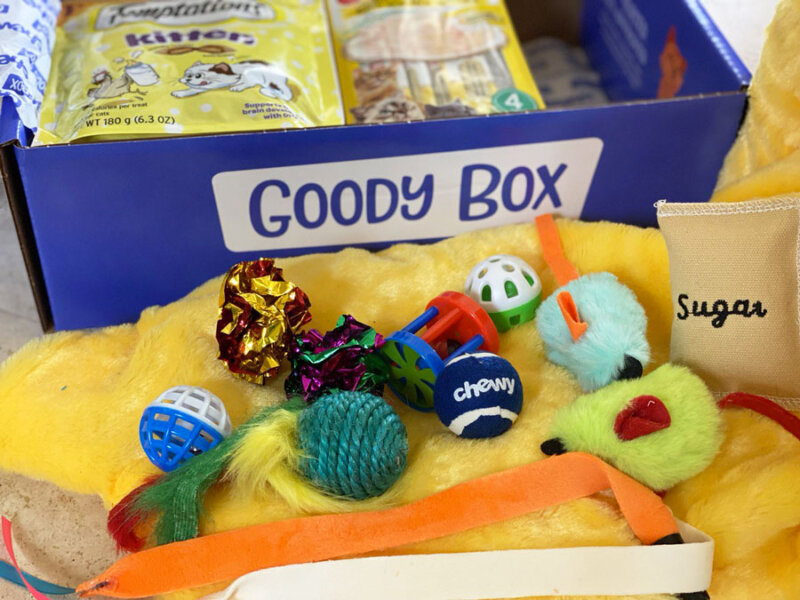 Unboxing the Fun: A Review of the Chewy Goody Box Kitten Toys & Treats ...