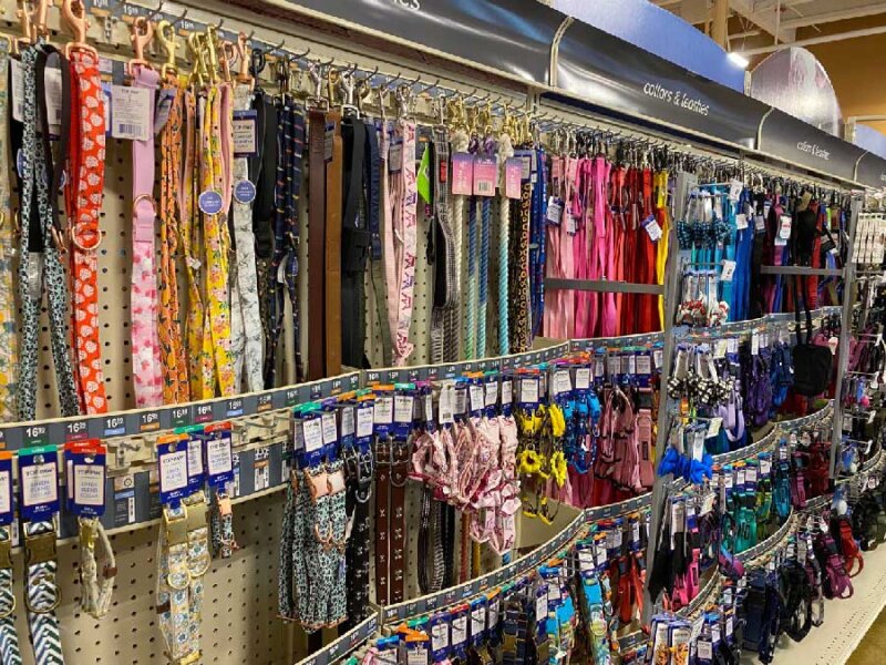 Petsmart vs Chewy: Which Pet Store is the Best Choice? - SuperMall