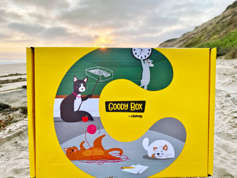 The Best Goody Boxes for Cats in 2023: A Comprehensive Review - SuperMall