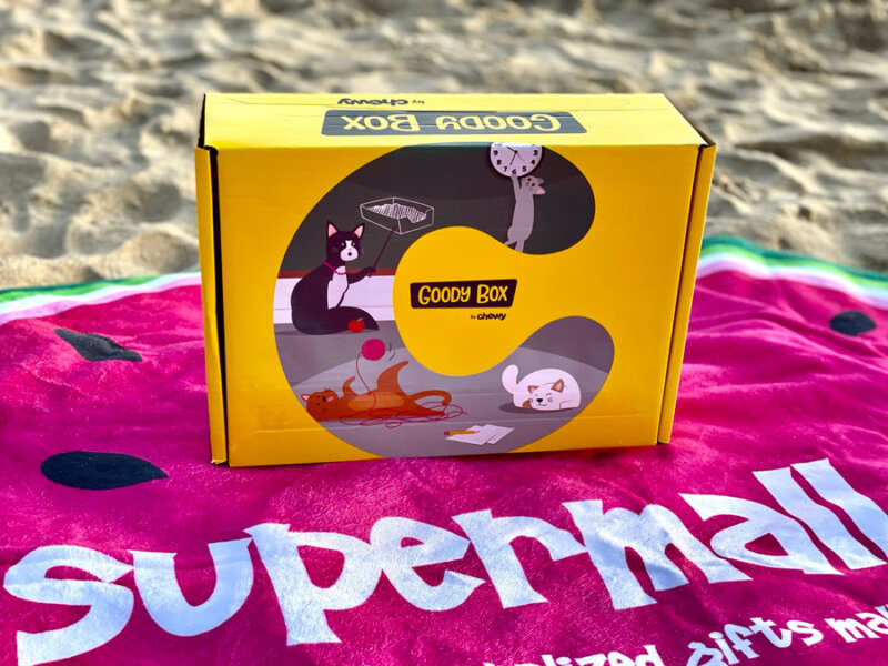 Get Your Cat into the School Spirit with the Back-to-School Goody Box ...