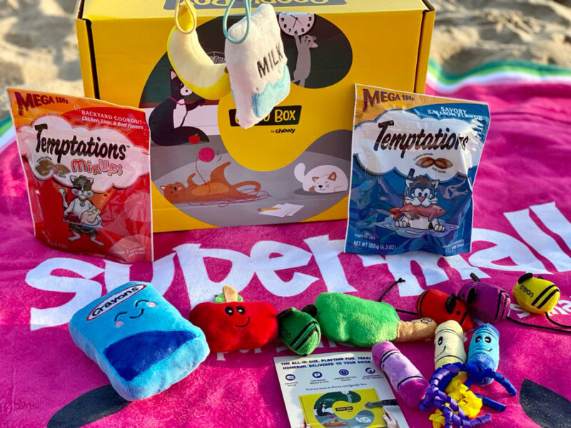 Get Your Cat into the School Spirit with the Back-to-School Goody Box ...