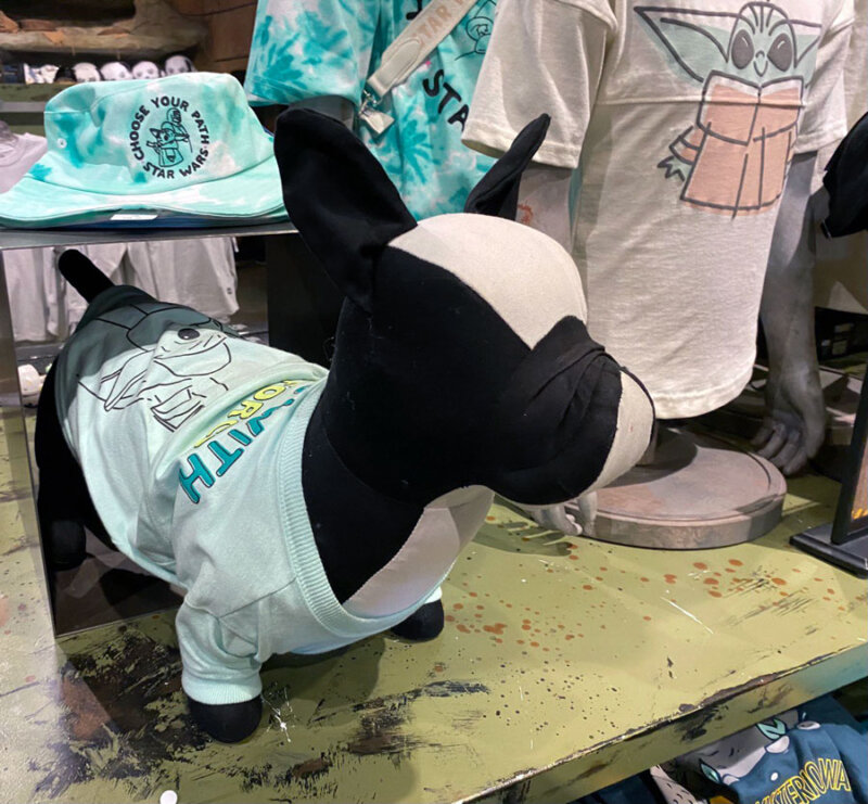 Unleash the Magic: Disney Tails for Your Furry Friends - SuperMall