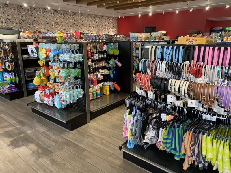 Pet Oasis: Your Ultimate Destination for Pet Happiness and Wellness ...