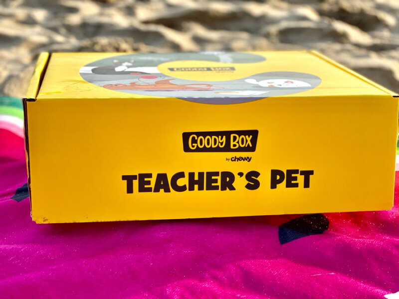 Get Your Cat into the School Spirit with the Back-to-School Goody Box ...