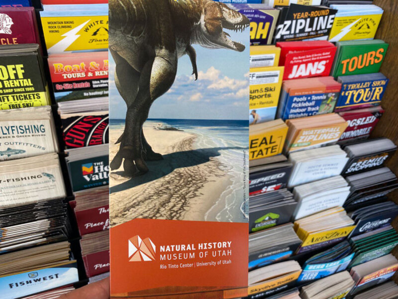 Secret Ways to Find coupons for Local Attractions - SuperMall