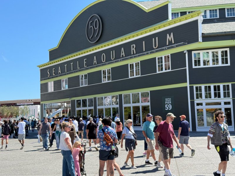 Seattle Aquarium: Best Things To See In 2025 + Photos & Visitor Info ...