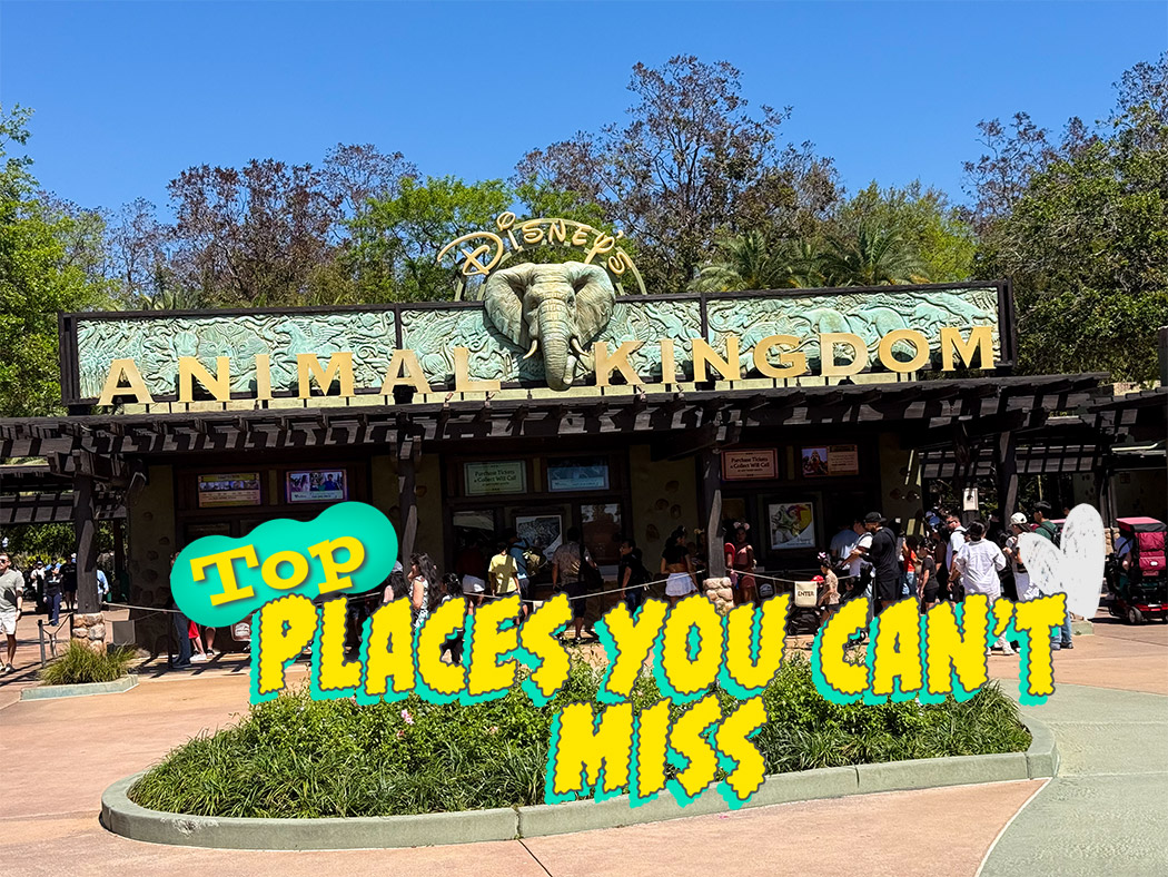 Disney's Animal Kingdom: 3 Places That Made Me Love This Park - SuperMall